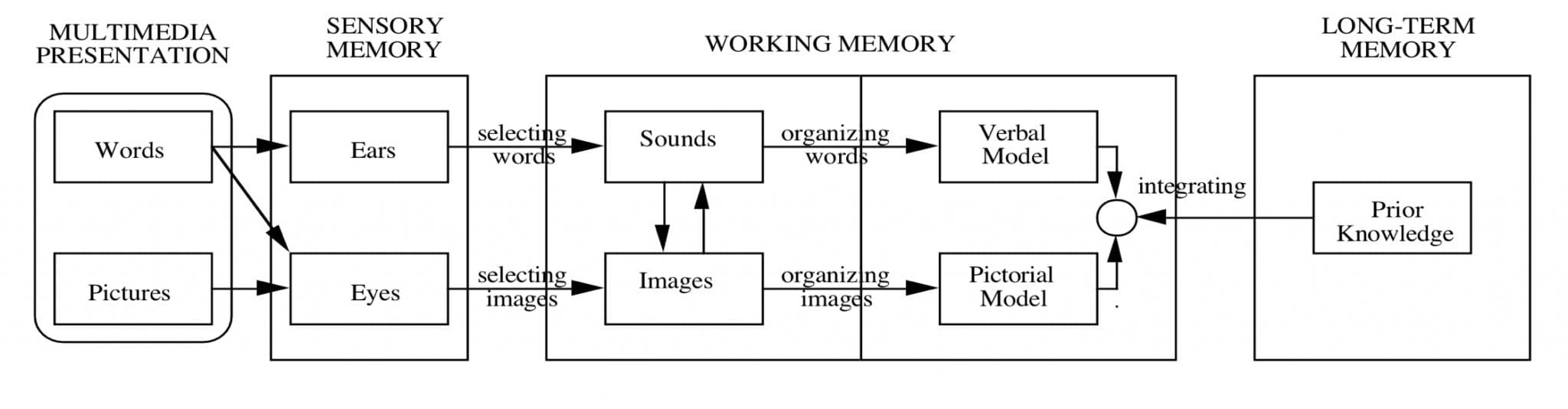 This simple diagram presented by Professor Richard Mayer forms the ...